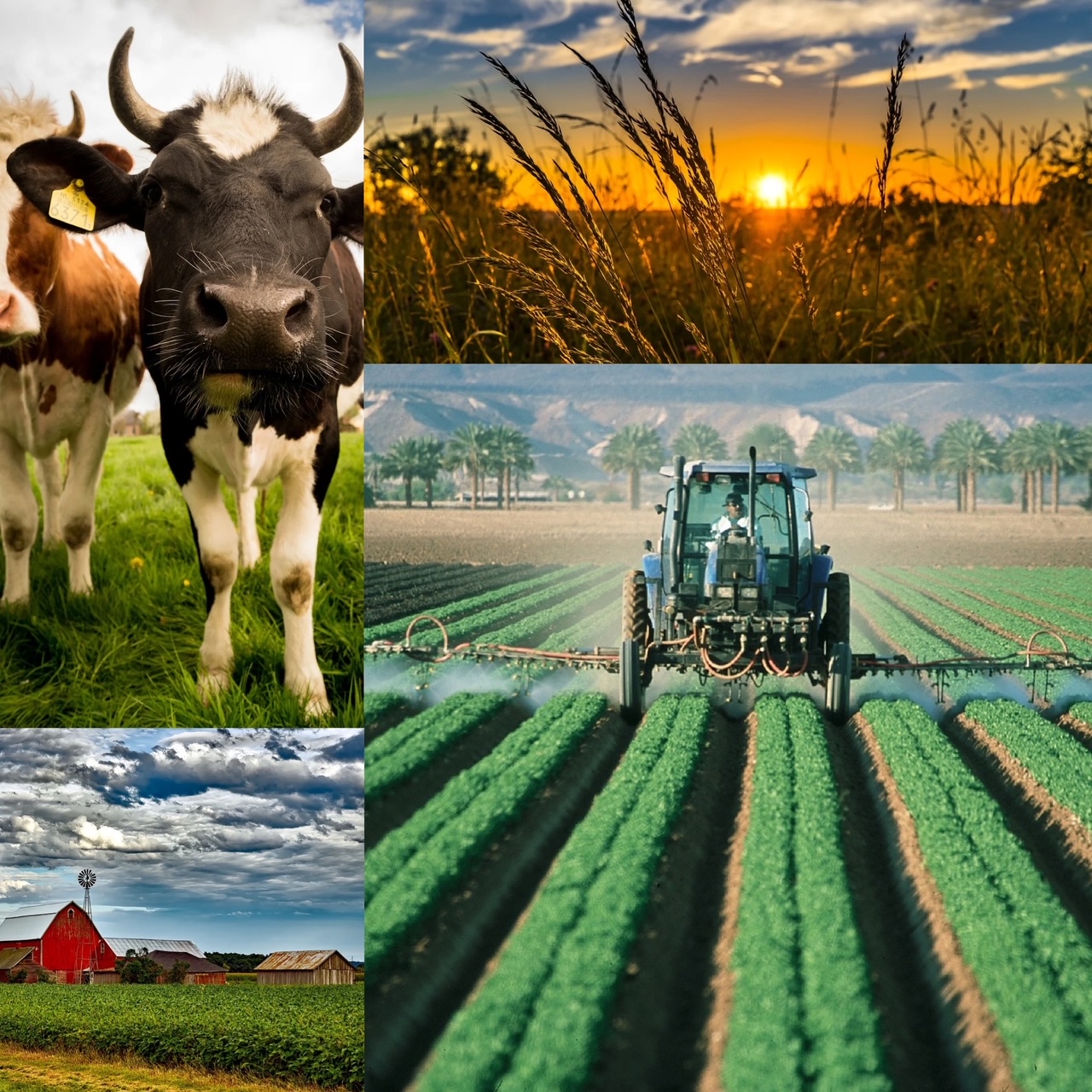 Farm and Country Estate | Top O' Michigan Insurance Solutions